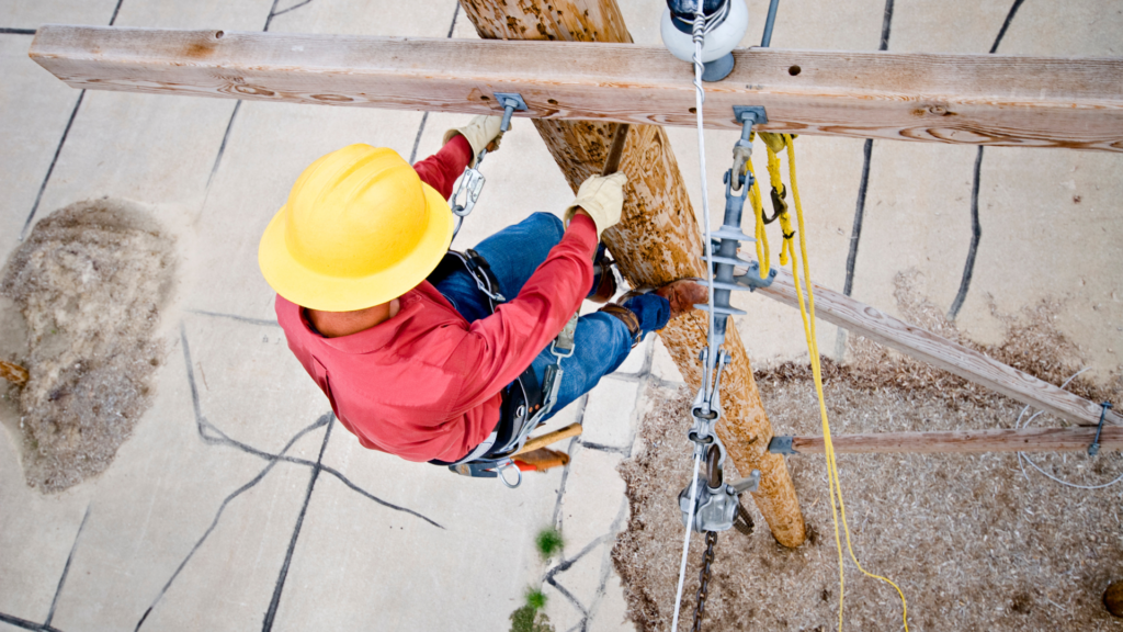 What are TDU Charges?