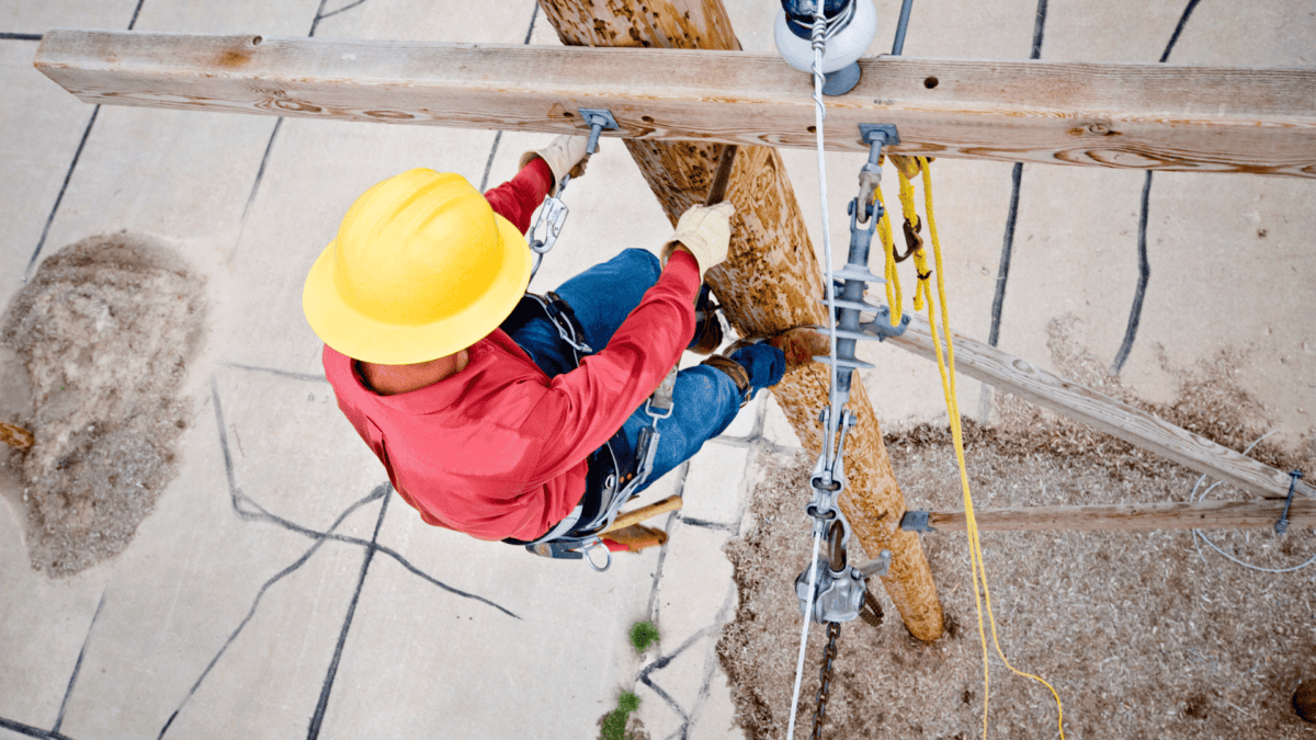 What are TDU Charges?