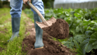 What is 811? Why You Need to Call Before Digging On Your Property