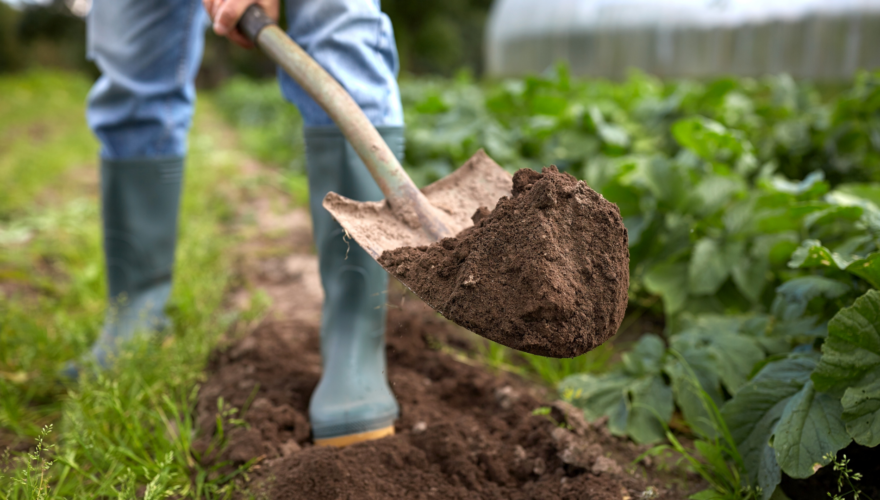What Is 811 Why You Need To Call Before Digging On Your Property
